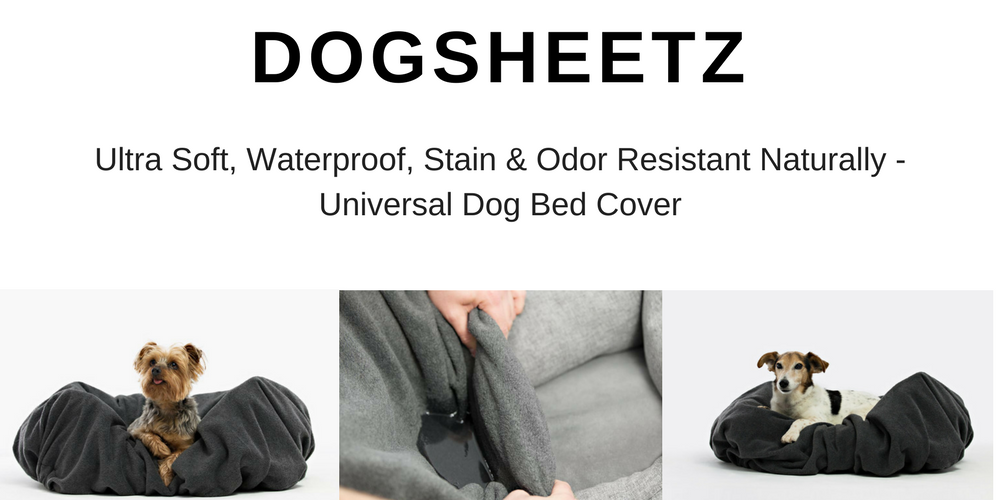 DogSheetz Are Finally Happening...Kind of! – Really Good Pets Shop